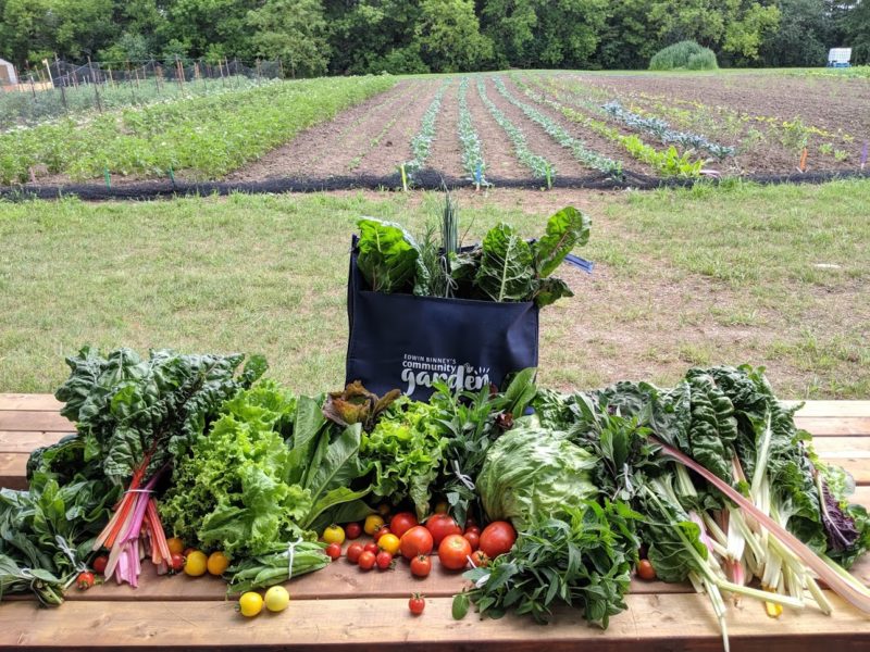 Edwin Binney’s Community Farm & Education Centre – United Way for the ...